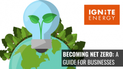 Net Zero Strategy: How To Make Your Business Carbon Neutral